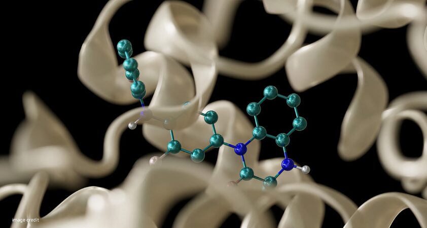 NVIDIA BioNeMo Expands Computer-Aided Drug Discovery With New ...